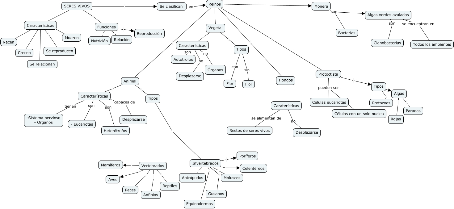 Mapa conceptual Seres Vivos
